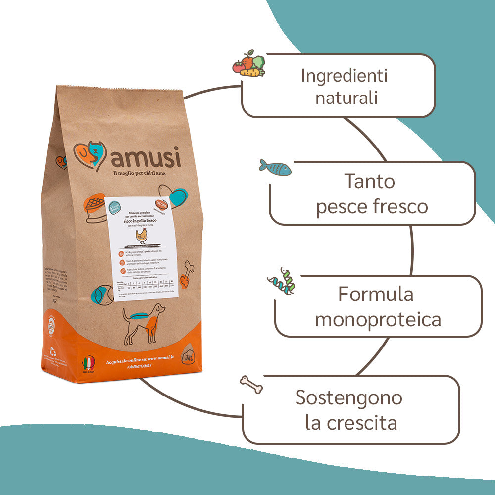 Crocchette Aringa fresca con Riso e Zucca per Cucciolo | amusi